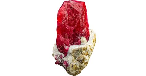 Reds Ruby Rock Chasing