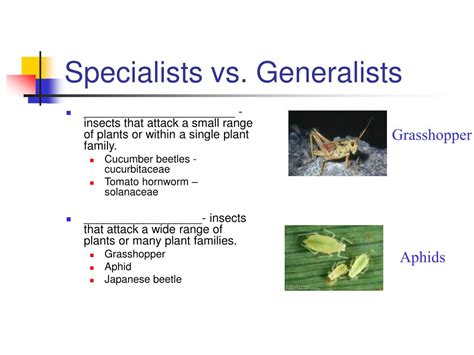 Ppt Insect Pests And Management Powerpoint Presentation Free