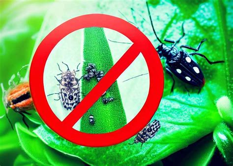 Indoor Plants Pest Resistant At Valeria Sturm Blog