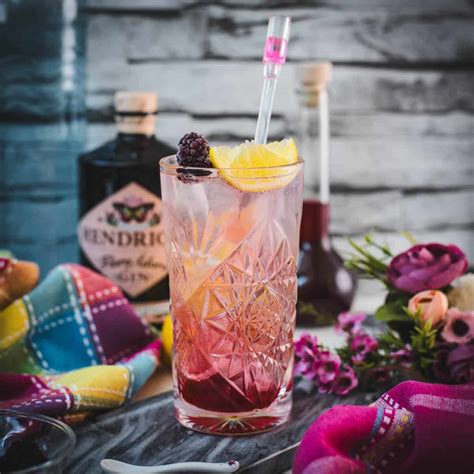 Blackberry Raspberry Gin Fizz