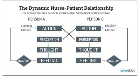 Ida Jean Orlando Deliberative Nursing Process Theory Nursing Process