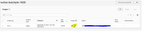 Deploy ECR Based AWS Lambda
