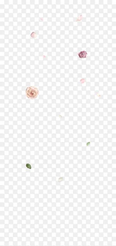 Png Png