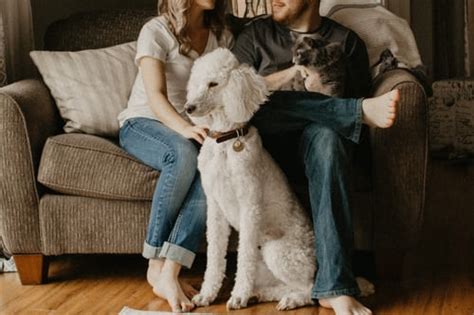 Animal Companions Linked To Better Mental Health During Lockdown New
