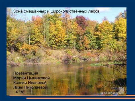 Зона смешанных и широколиственных лесов Географическое положение зоны