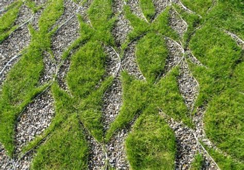 Formakers Edaphic Effects Philadelphia Usa Peg