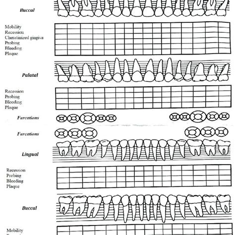 Periodontal Chart Used In The Trial Download Scientific Diagram