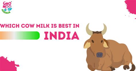 Discover The Top Cow Milk Brands In Chennai India