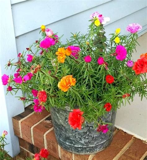 Top 25 Proiecte Diy Pentru Curte Realizate Din Lucruri Reciclate