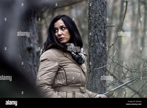 DORKA GRYLLUS VIKEND Stockfotografie Alamy