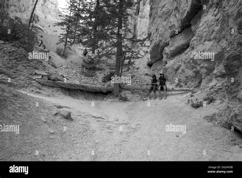 Hiking On Navajo Loop Trail In Bryce Canyon National Park Utah Usa