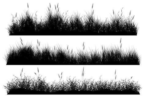 Grass Ground Long Grass Silhouette Summer Grass 9765670 Vector Art At Vecteezy