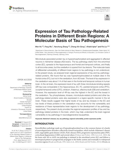 Pdf Expression Of Tau Pathology Related Proteins In Different Brain