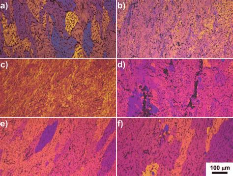 Light Optical Micrograph In Polarized Light Initial State Before Ecap