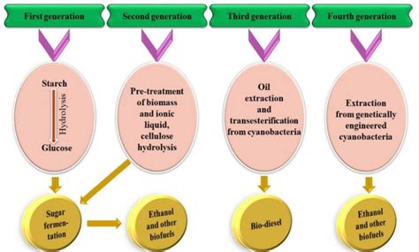 Diagrammatic Representation Of The Four Different Generations Of