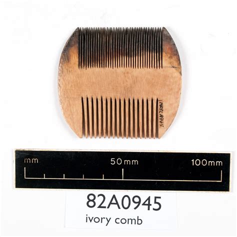 Nit Comb Mary Rose