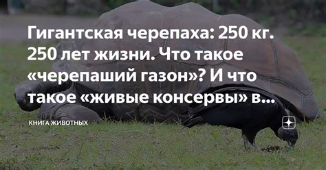 Гигантская черепаха 250 кг 250 лет жизни Что такое «черепаший газон