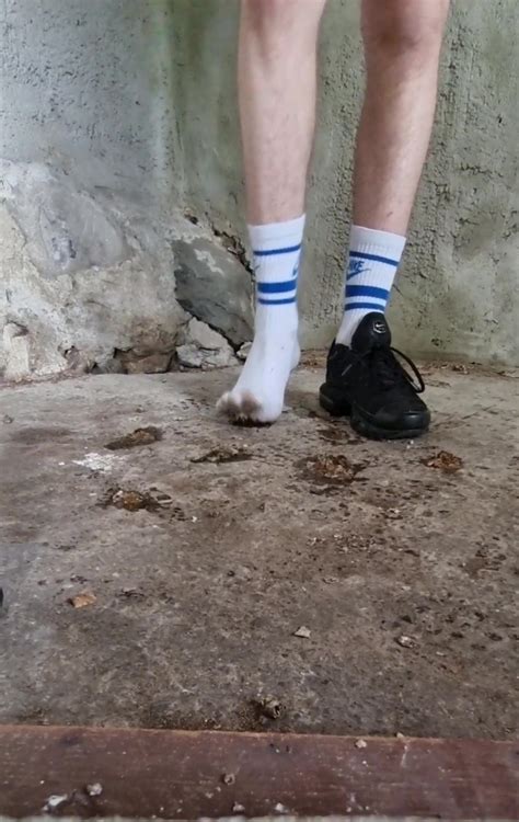 Famiglia Di Lumache Vs Tn Nere