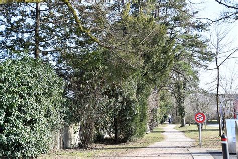 Damo Nlp Sg Vl3 Syn7m · Datasets At Hugging Face