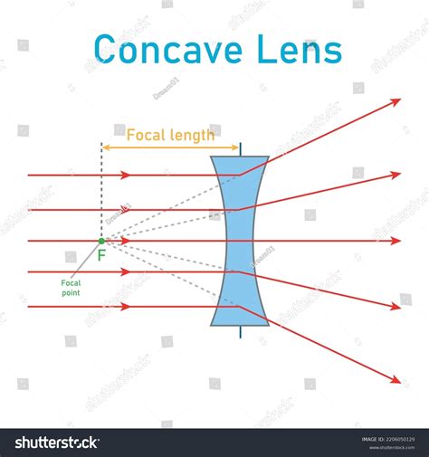 Concave Lens Schematic Diagram Optics Physics เวกเตอร์สต็อก ปลอดค่า