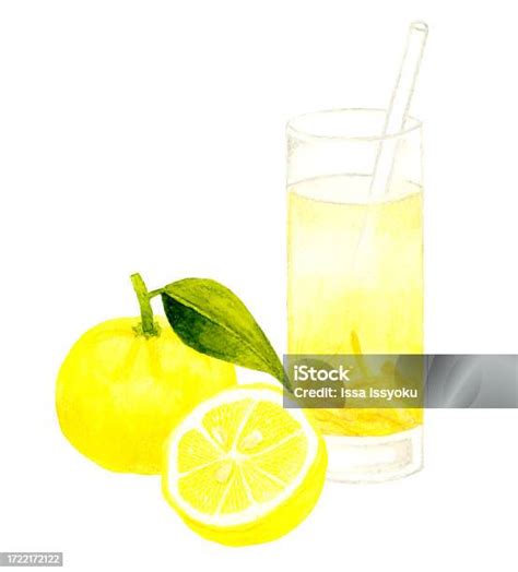 유리잔에 담긴 유자 주스와 유자 과일 손으로 그린 과일의 수채화 그림 감귤류 과일에 대한 스톡 벡터 아트 및 기타 이미지