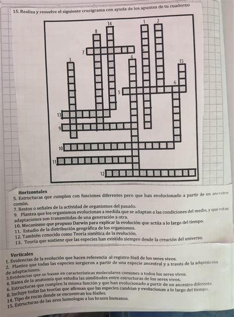 15 Realiza Y Resuelve El Siguiente Crucigrama Con Ayuda De Los Apuntes