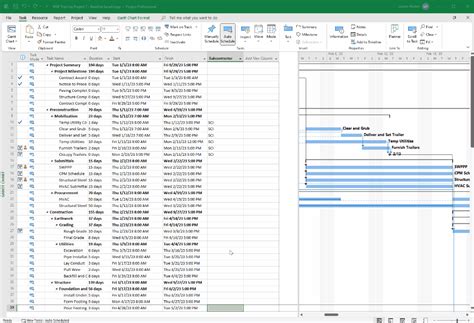 How To Create Custom Fields In Microsoft Project Taradigm