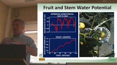Professor Mike Dixon In Situ Stem Psychrometer Part B Youtube