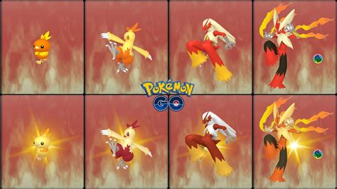 Pokemon Blaziken Evolution Chart