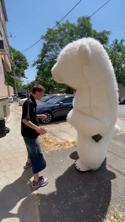 С днем рождения братуха Youtube