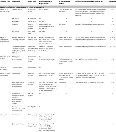Frontiers Post Translational Modifications Of Exosomal Proteins