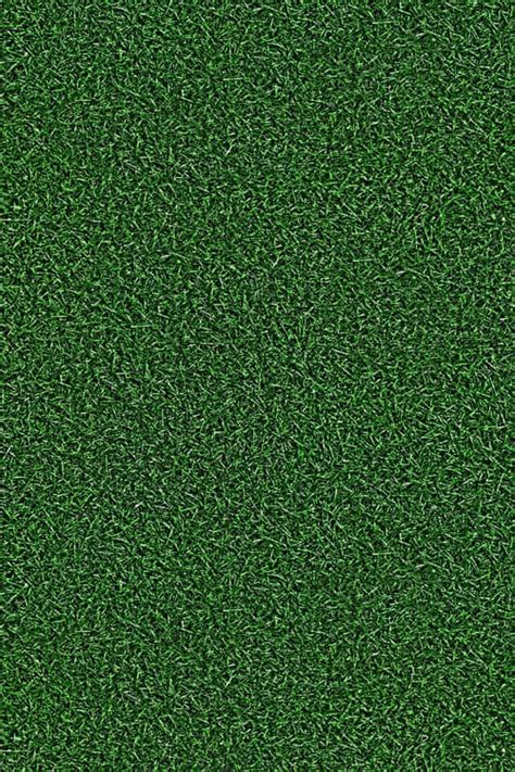 Fresh Dark Green Grass Seamless Texture