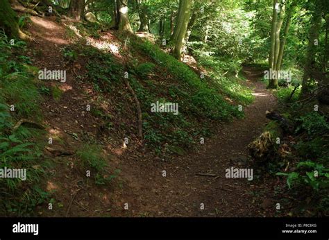 Offas Dyke Path John O Groats Duncansby Head To Lands End End To