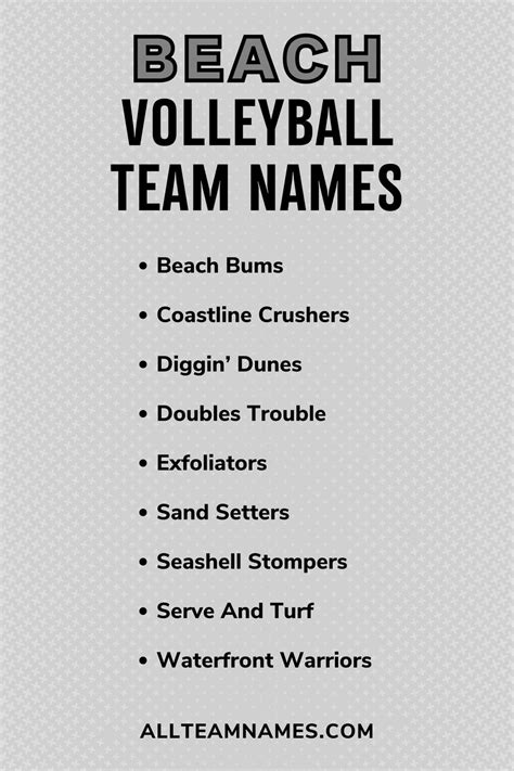 111 Volleyball Team Names That Are A Hit