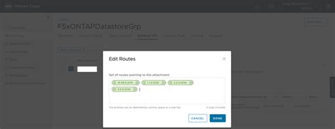 Supplemental Nfs Datastore Option In Aws
