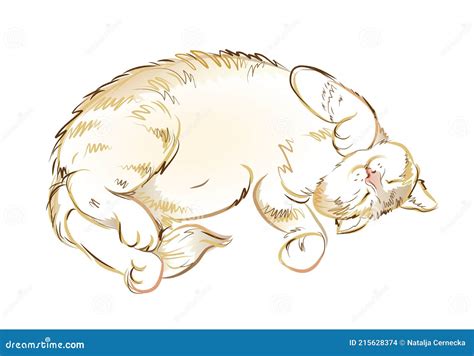Illustration Of Satisfied Sleeping Cat Digital Drawing Printable