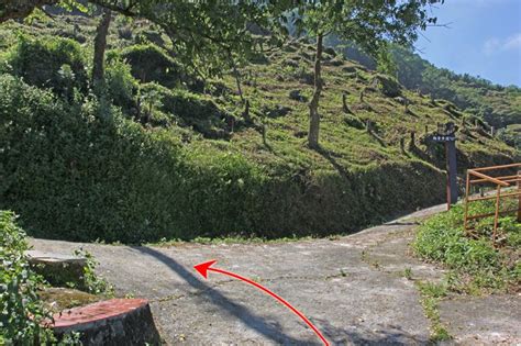竹子尖山觀音步道→梅龍步道 O型 健行筆記
