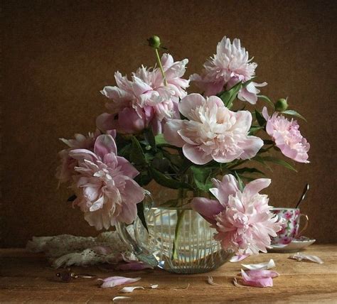 Фотография фотографа - С пионами | Oil painting flowers, Flower ...