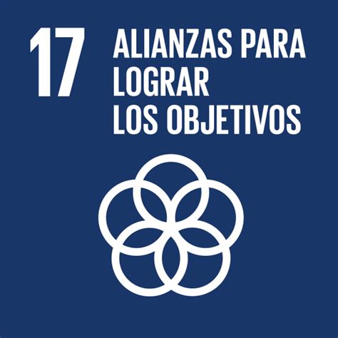 Alianzas Para Lograr Los Objetivos Huella Humana