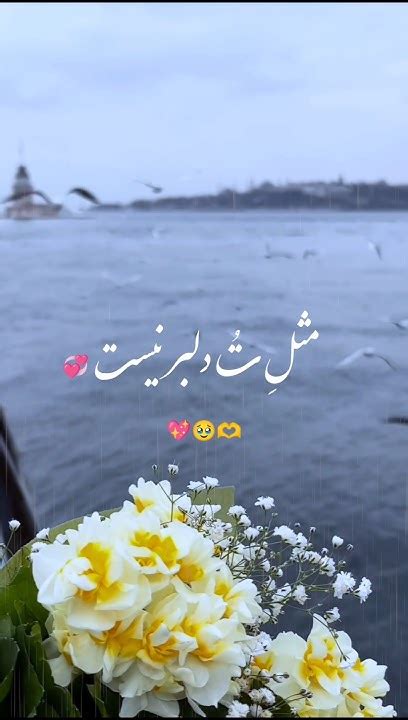 ترکیب هایده و محسن چاووشی ️‍🔥هایدهآهنگمحسنچاوشی عاشقانهها موزیک