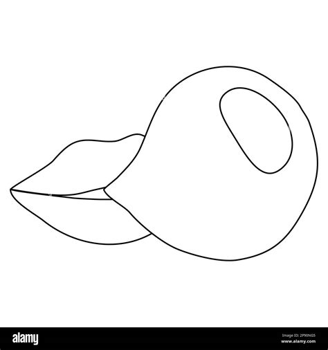 Woman Lips Blowing Bubble Gum Doodle Style Flat Vector Outline