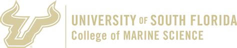 Usf College Of Marine Science The College Of Marine Science At The