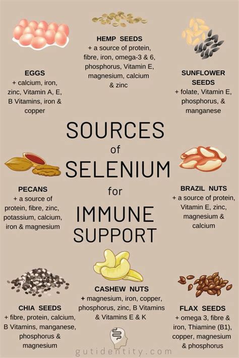 Drmuna Al Louzi On Linkedin Selenium And Immune System Support 🤎👩🏻‍⚕️