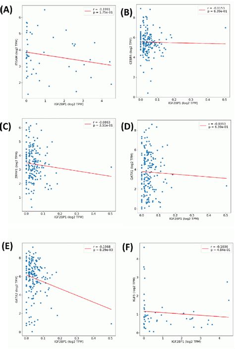 Correlation Analysis Of Cell Differentiation Genes In Leukemia Igf2bp1