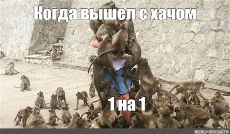 Создать мем животное толпа обезьян обезьяны нападают на людей