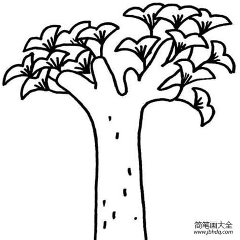 简笔画银杏树画法 简笔画图片大全 普车都