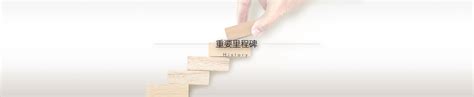 重要里程碑 關於so Net