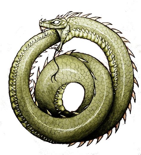 Ouroboros No Bg Drawing By Zarina Oversoe