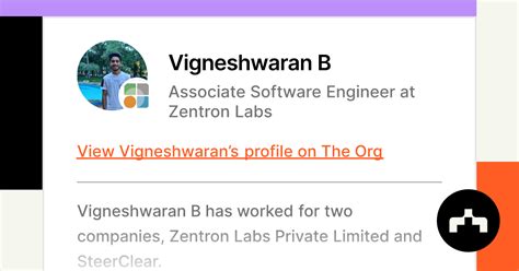 Vigneshwaran B Associate Software Engineer At Zentron Labs The Org