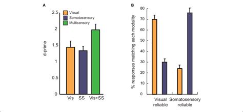 Behavioral Measures Of Visual Somatosensory Multisensory Integration